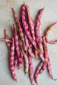 How To Cook Fresh Borlotti Beans | Rachel Phipps