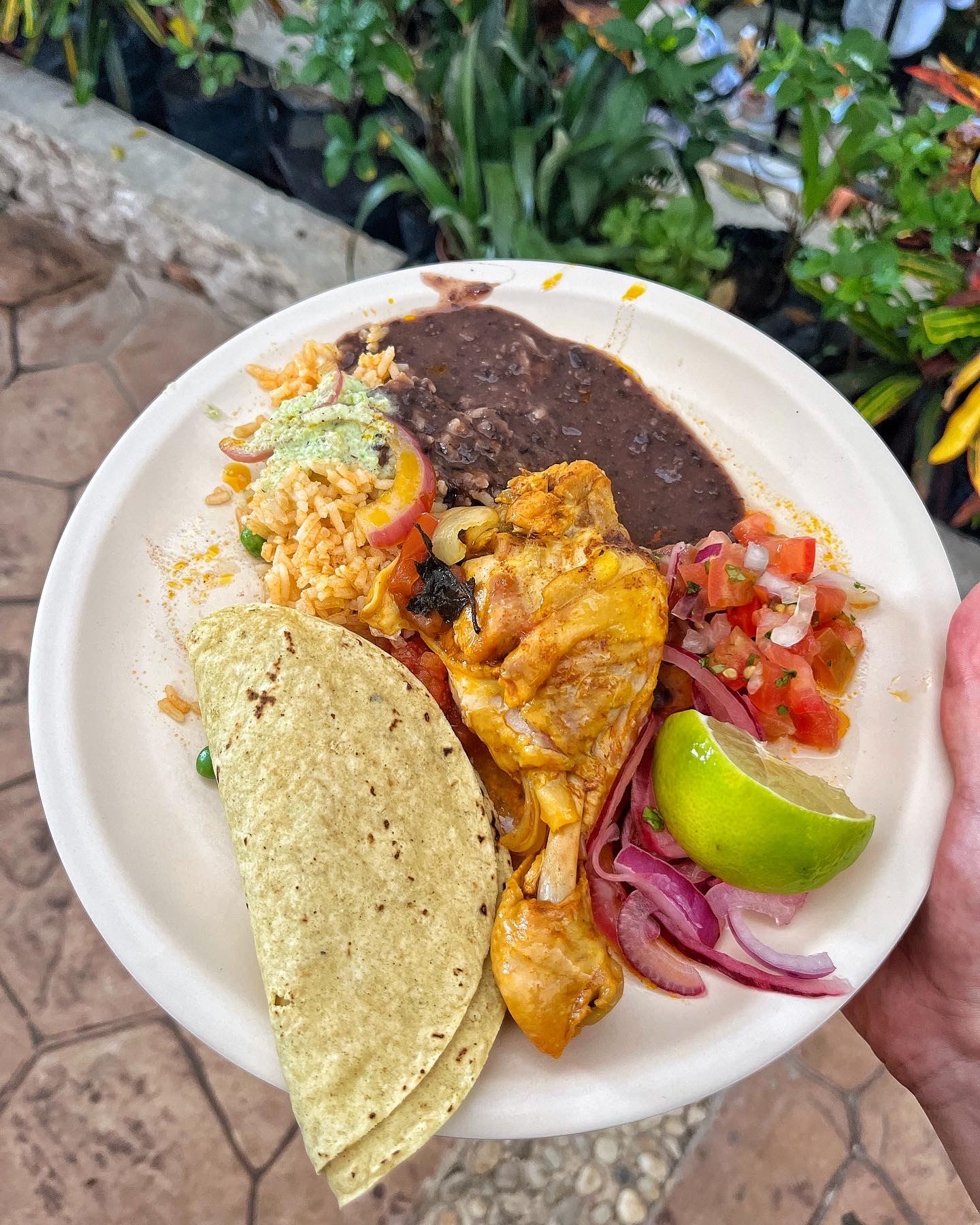 Yucatan Chicken | Rachel Phipps